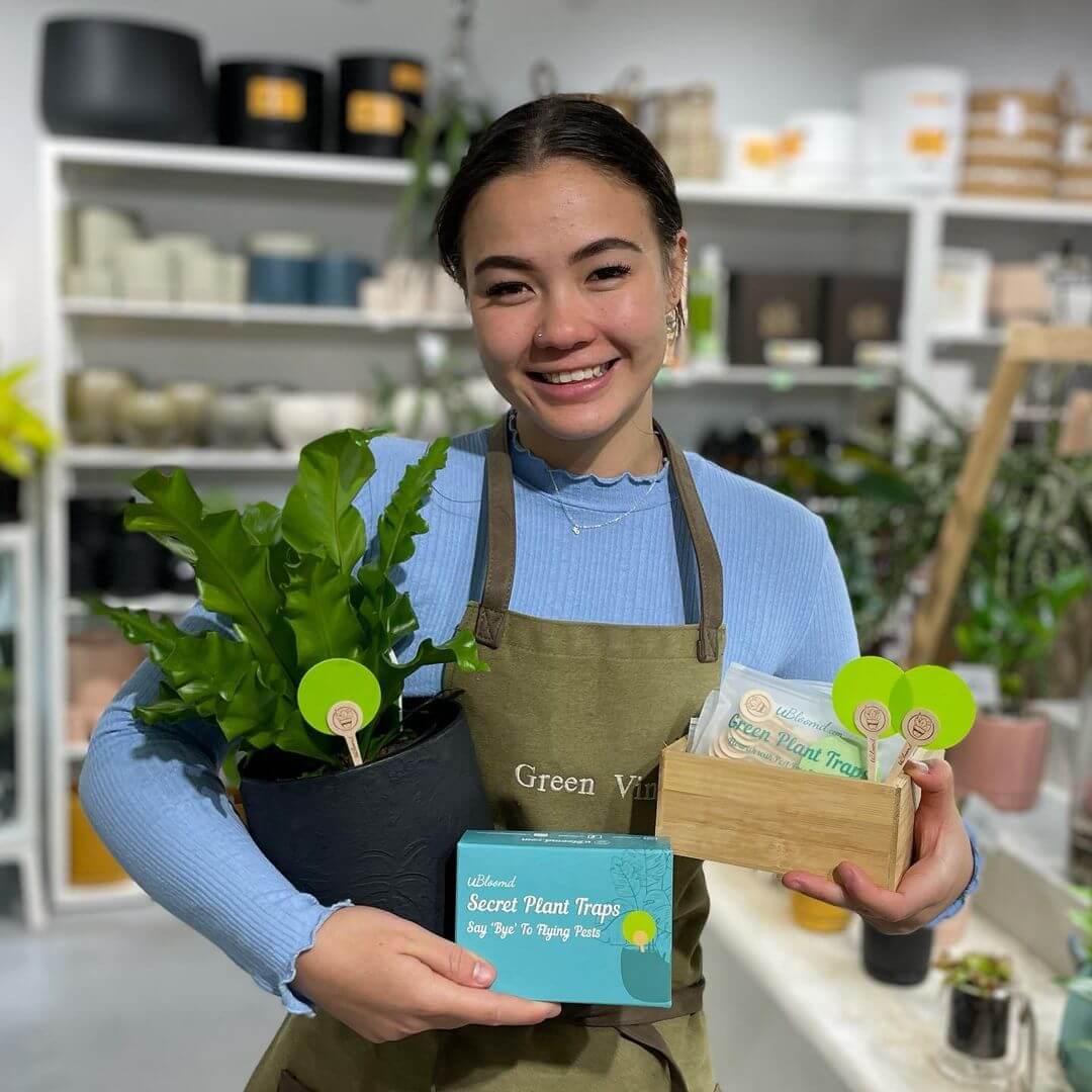 Celebrating National Houseplant Appreciation Day – uBloomd