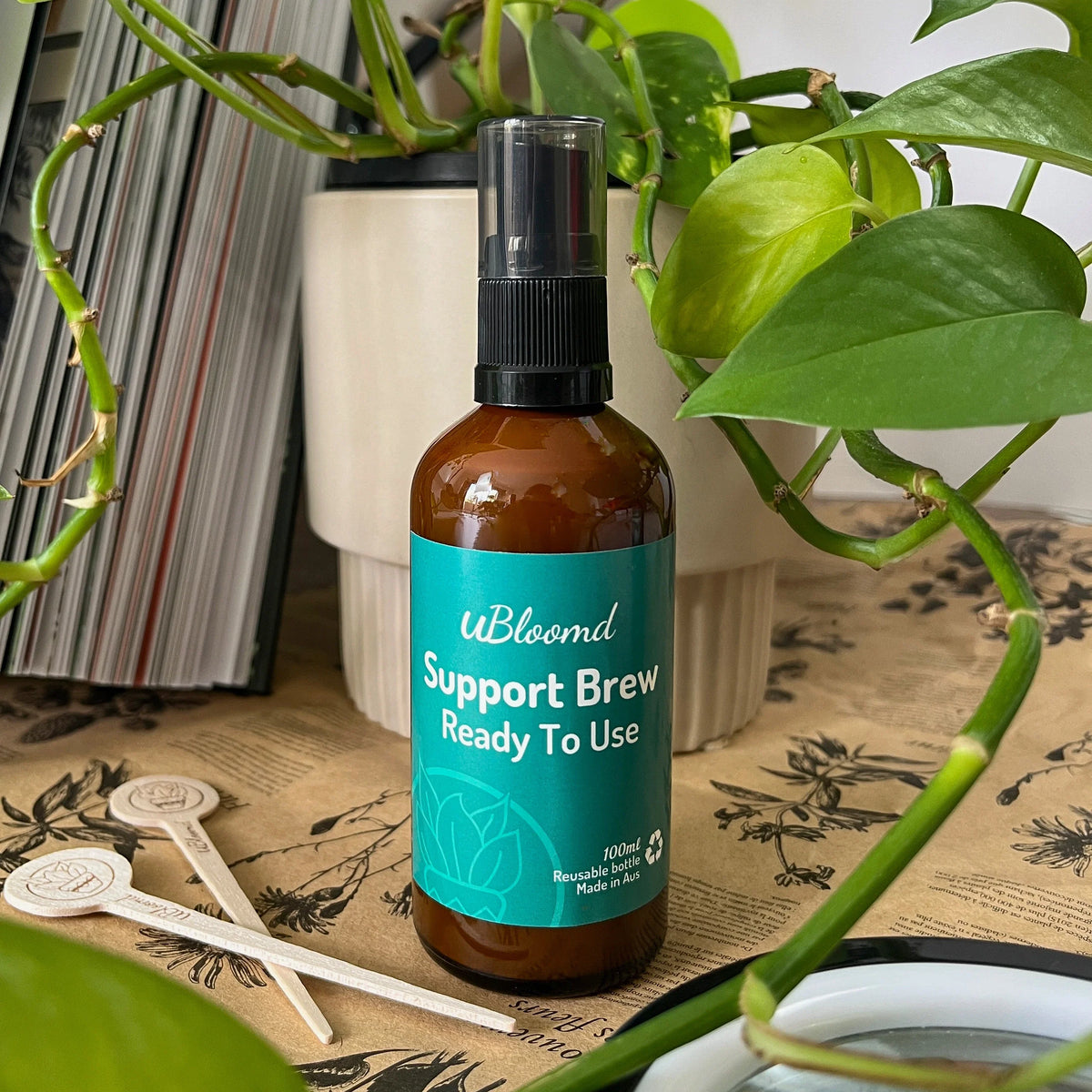 Fungus Gnat Control | Anti-Gnat Kit – uBloomd