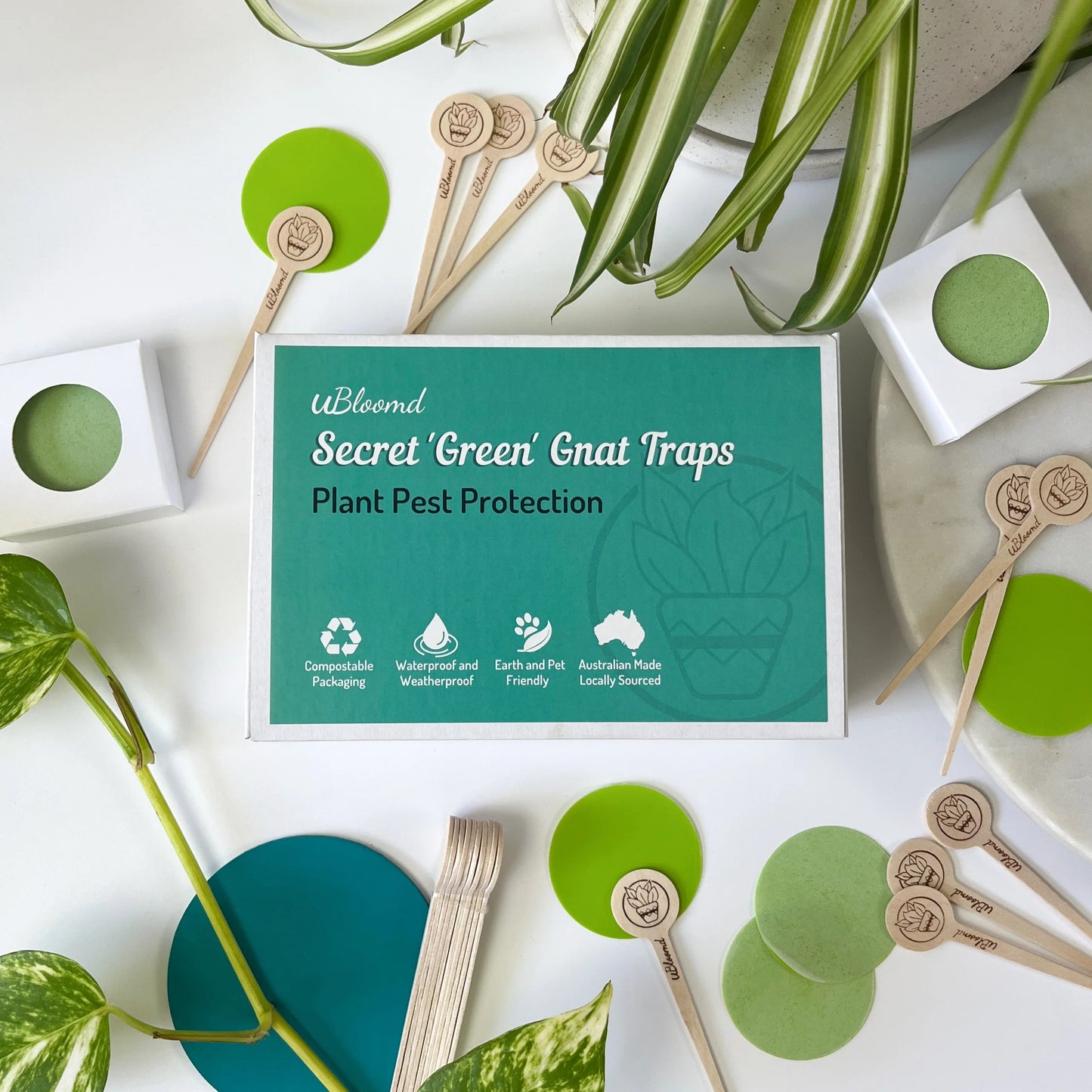 Classic Circle Green Sticky Traps - uBloomd