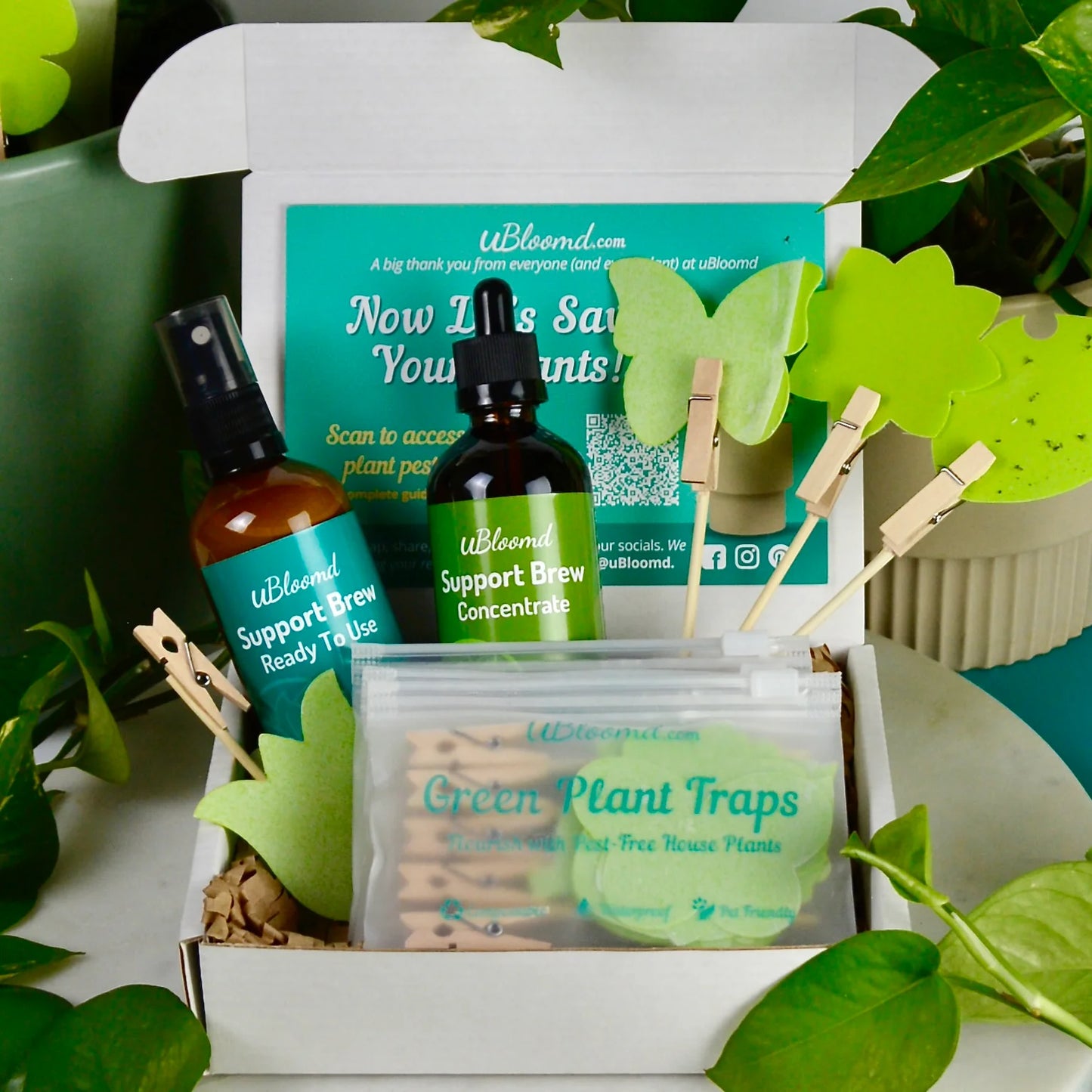 Fungus Gnat Control | Indoor Plant Protection Bundle – uBloomd