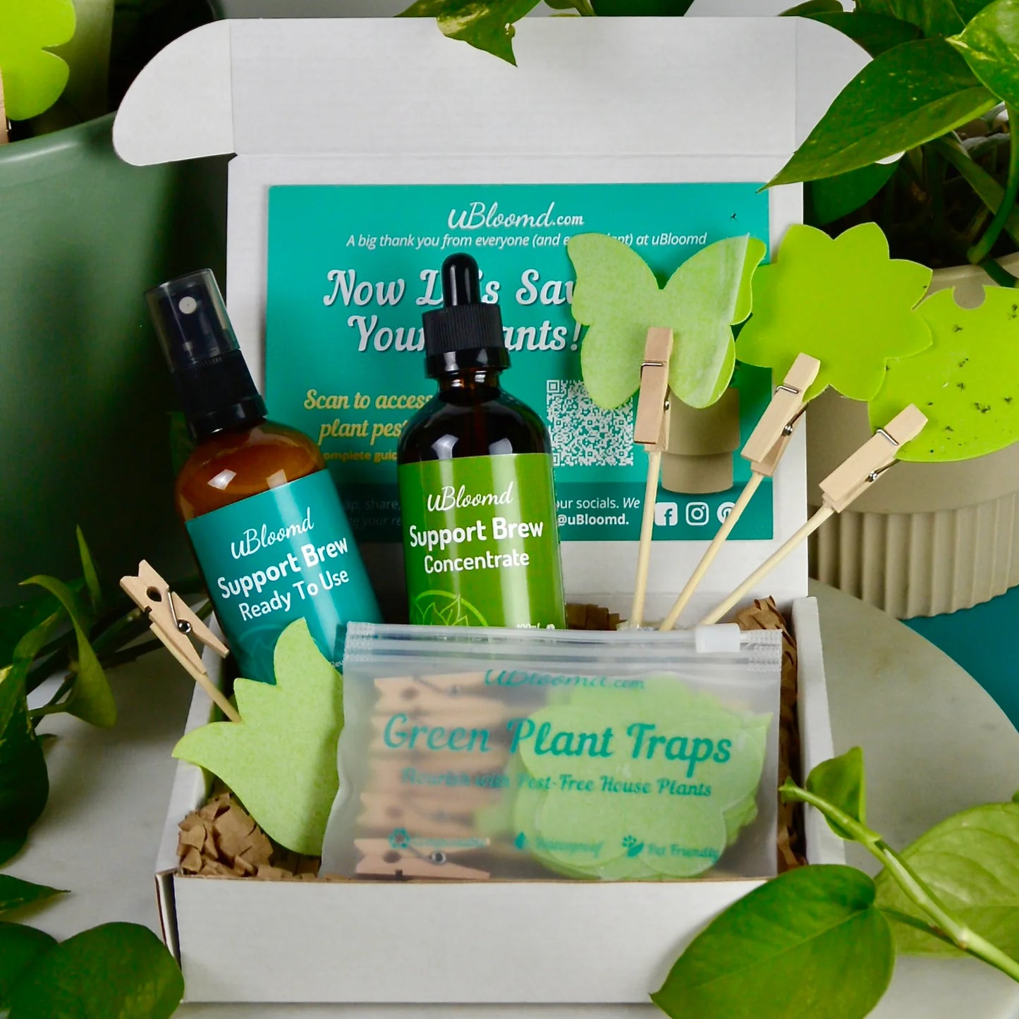 Fungus Gnat Control | Indoor Plant Protection Bundle – uBloomd