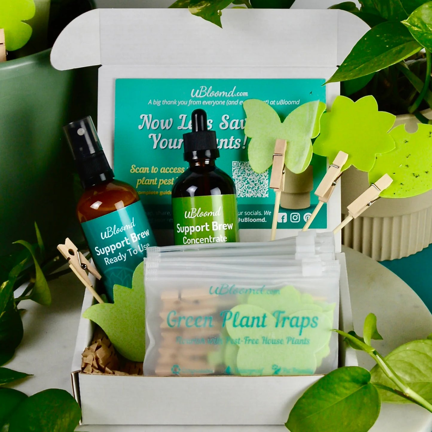 Fungus Gnat Control | Indoor Plant Protection Bundle – uBloomd