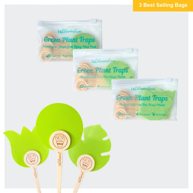Green Sticky Traps – uBloomd