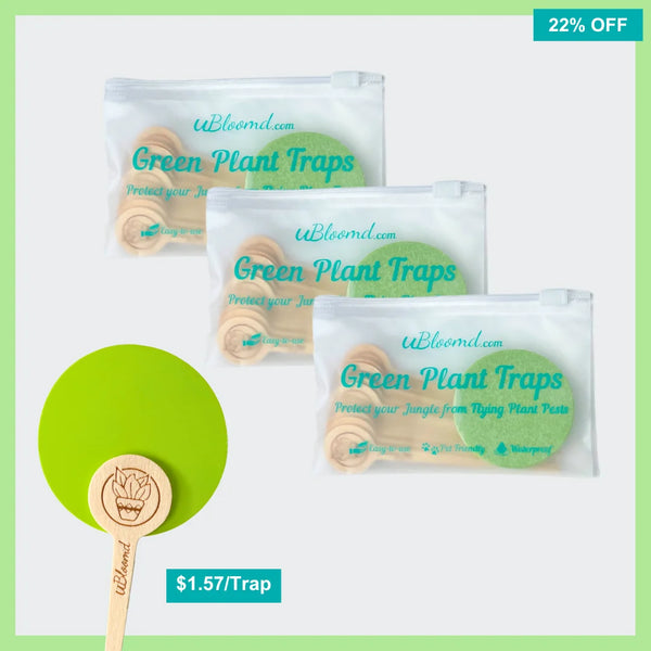 Classic Circle Green Sticky Traps - uBloomd