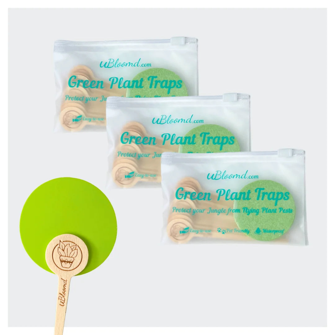 Classic Circle Green Sticky Traps - uBloomd