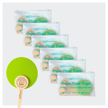 Green Sticky Traps – uBloomd
