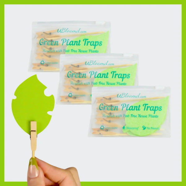 Leaf Sticky Traps - uBloomd