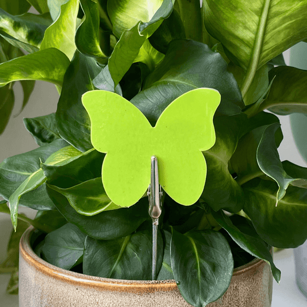 10x Trap Clips – uBloomd