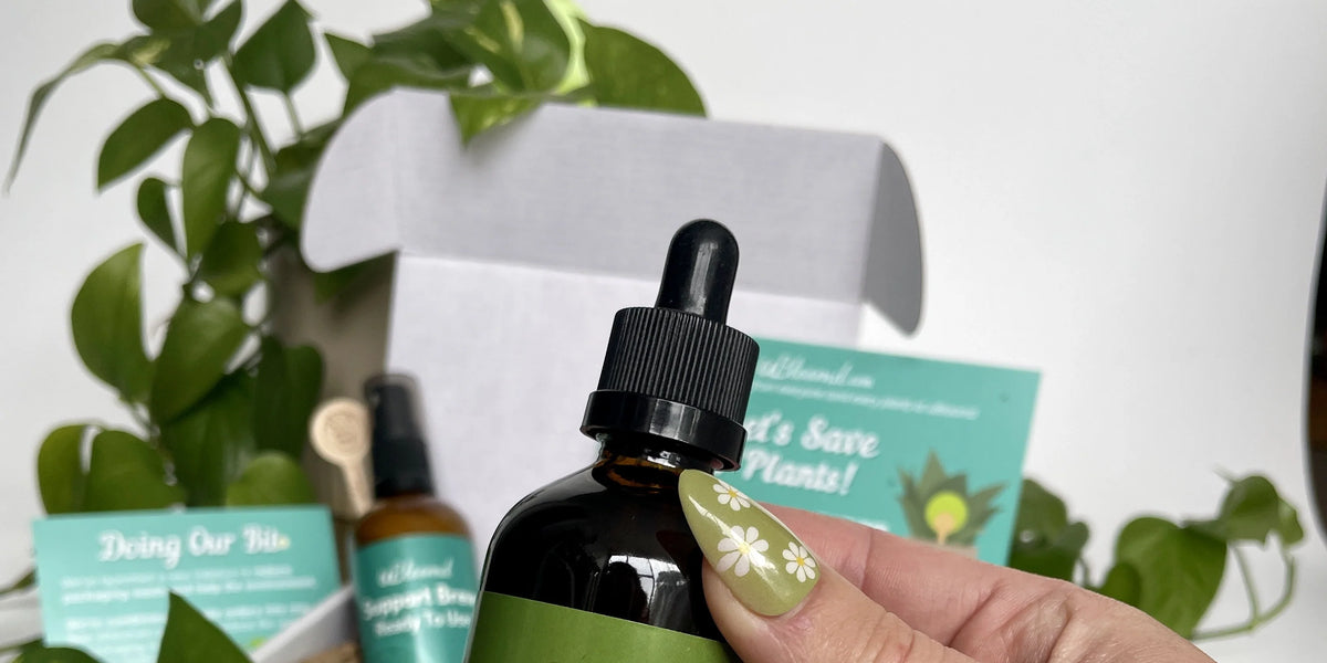 Fungus Gnat Control | Indoor Plant Protection Bundle – uBloomd