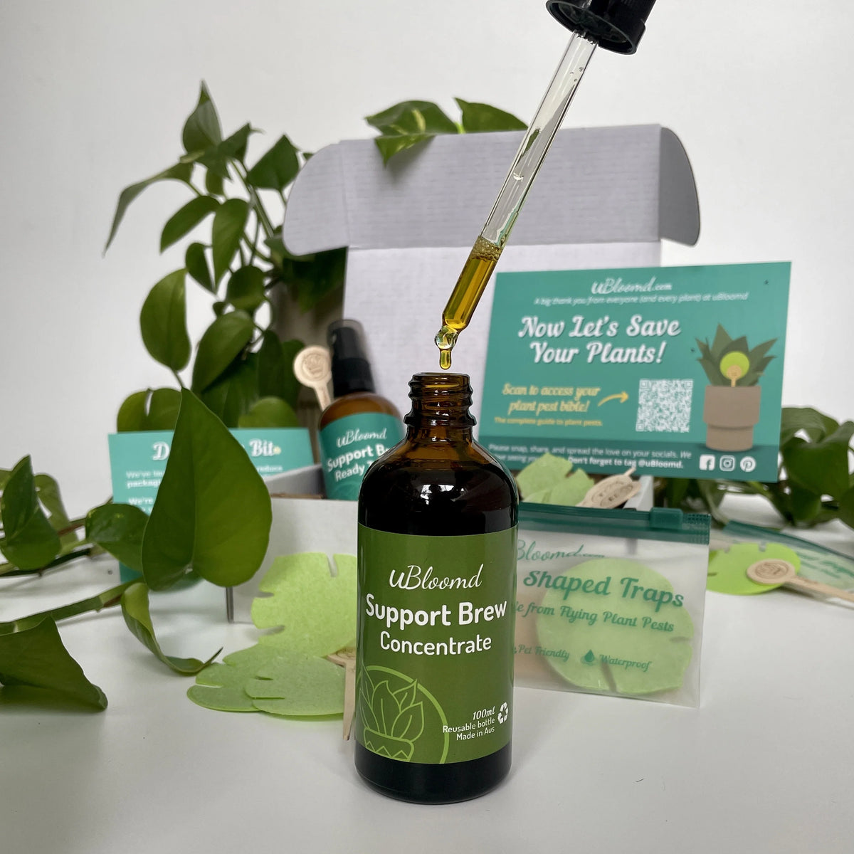 Fungus Gnat Control | Indoor Plant Protection Bundle – uBloomd