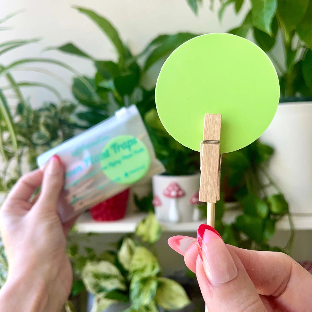 Classic Circle Green Sticky Traps - uBloomd
