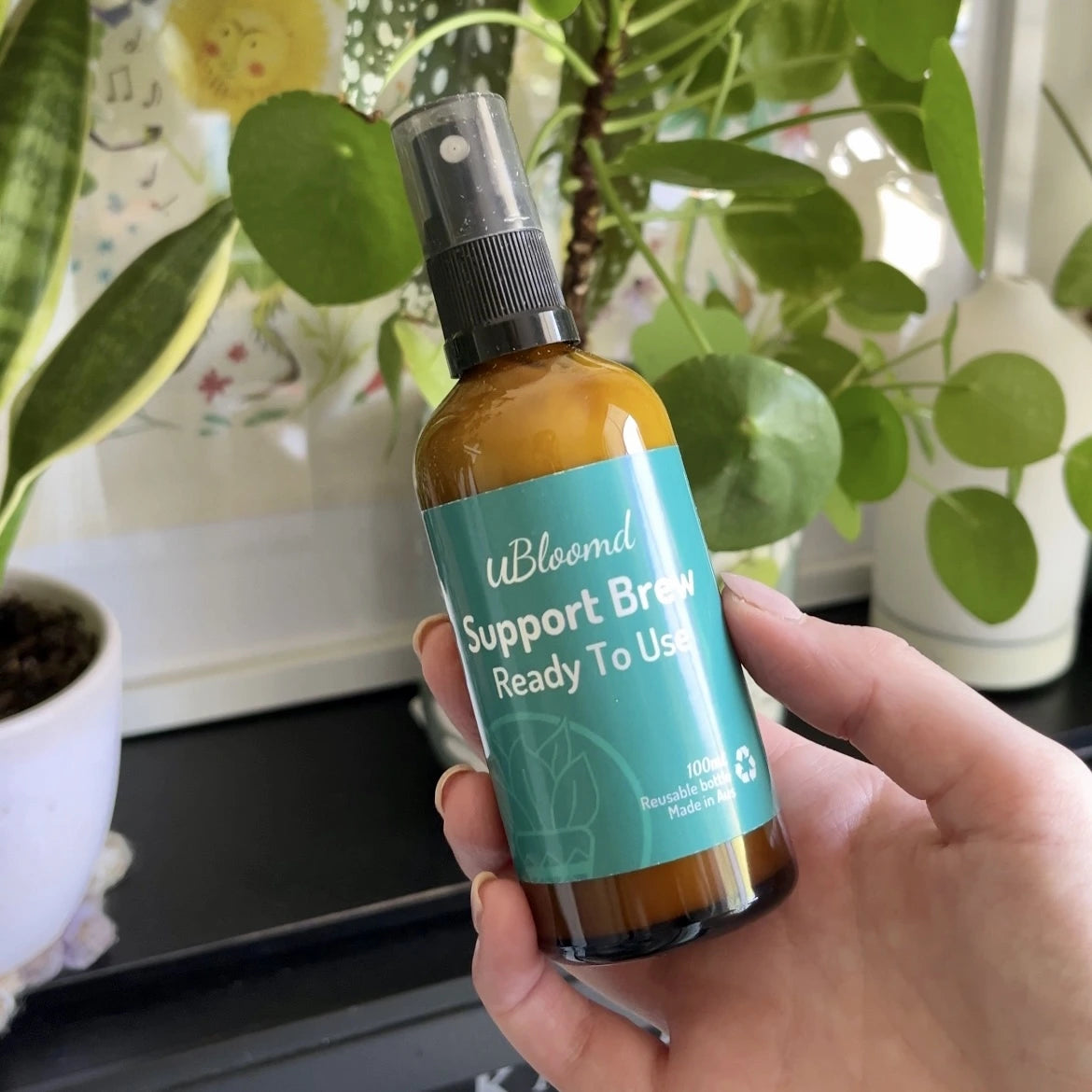 Fungus Gnat Control | Anti-Gnat Kit – uBloomd