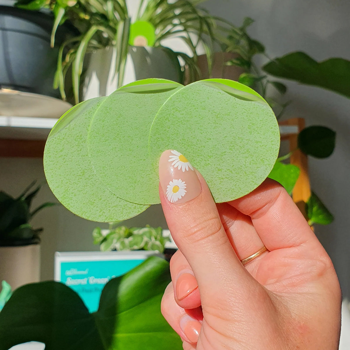 Classic Circle Green Sticky Traps - uBloomd